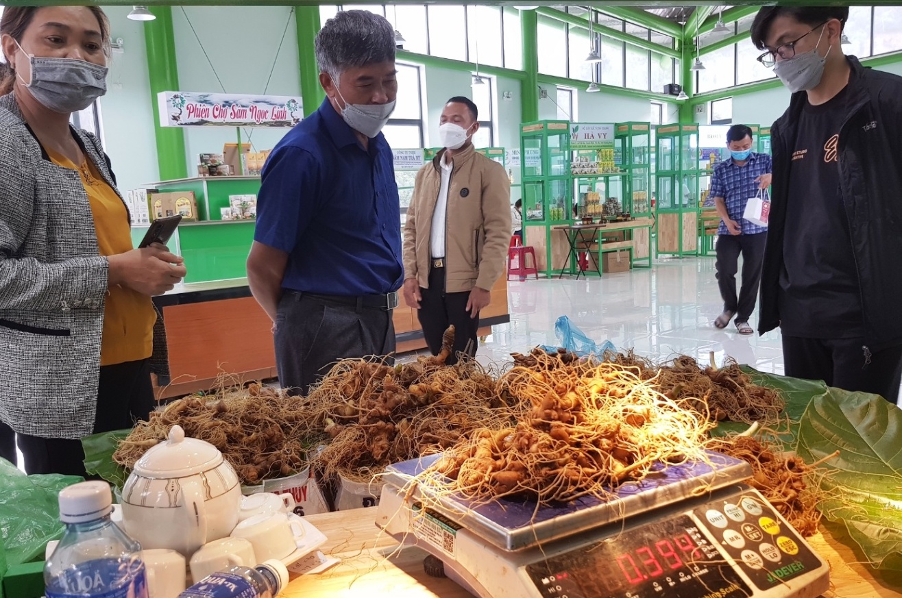 Quảng Nam tăng cường kiểm soát tại các phiên chợ Sâm Ngọc Linh